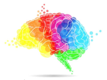 qEEG Brain Mapping Database | Neurofeedback Resource